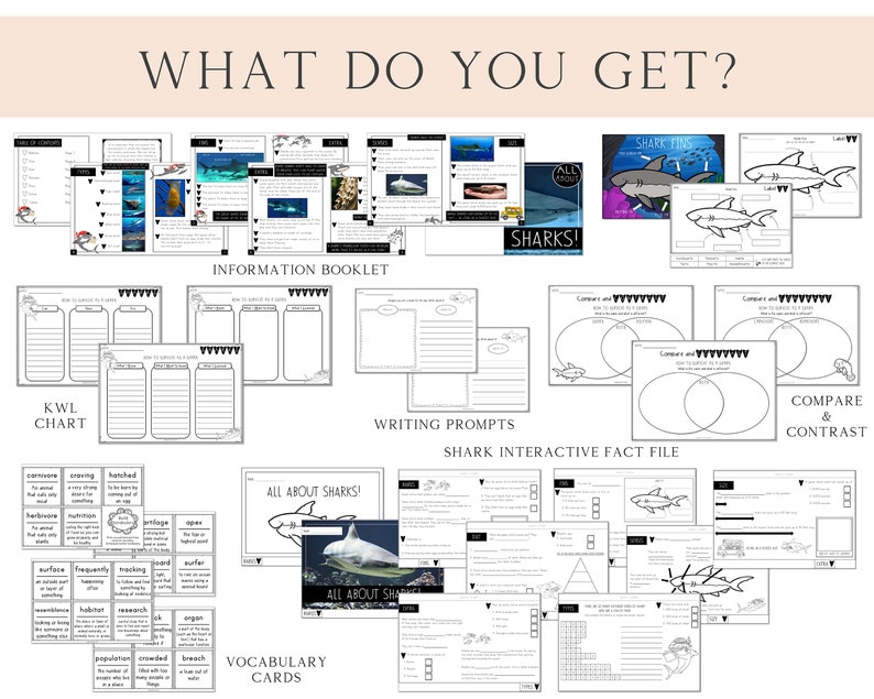 Printable Shark Unit, Shark Nature Study Pack, Learning About Sharks ...
