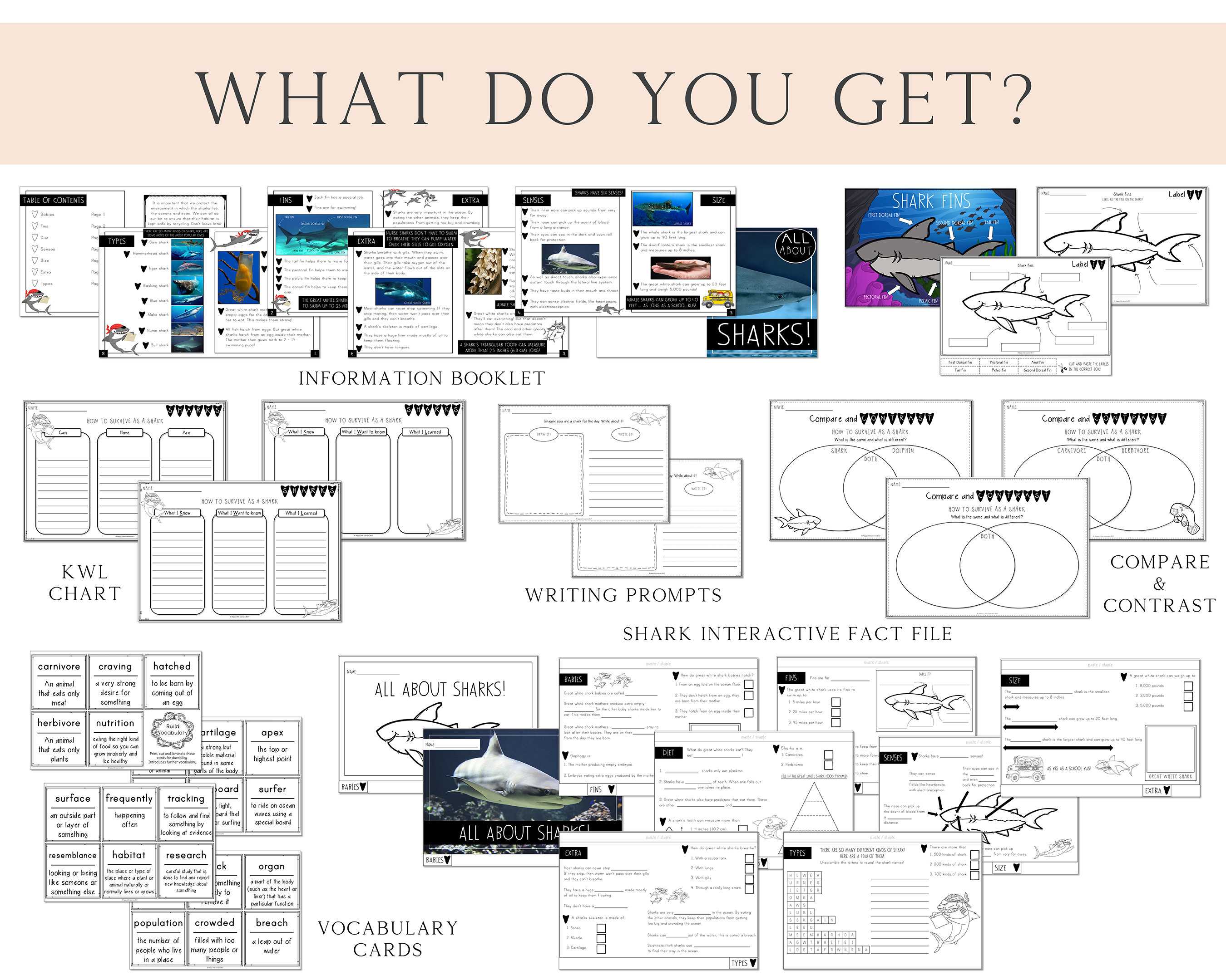 Printable Shark Unit, Shark Nature Study Pack, Learning About Sharks ...