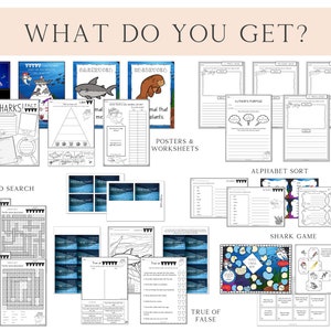 Printable Shark Unit, Shark Nature Study Pack, Learning About Sharks ...
