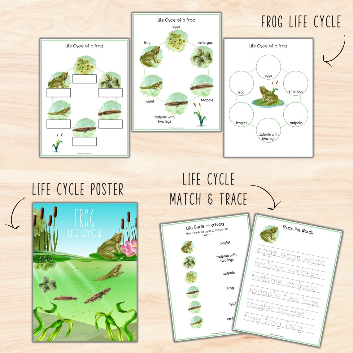 Frog Unit Study Bundle, Frog Life Cycle & Anatomy, Charlotte Mason ...