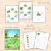 Frog Unit Study Bundle, Frog Life Cycle & Anatomy, Charlotte Mason ...
