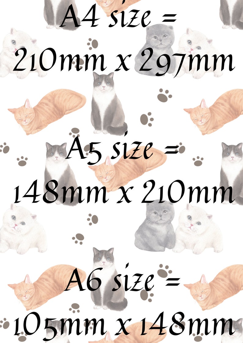 Cat Writing Paper Unique Cat Gift Idea Cat Lover Christmas Gift Cat ...