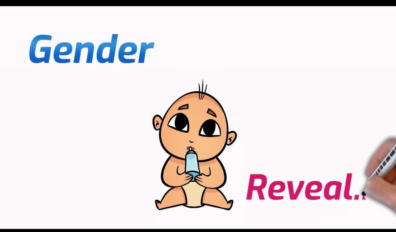 Gender Reveal Digital Video GIRL, Digital Animation GIRL Gender Reveal ...