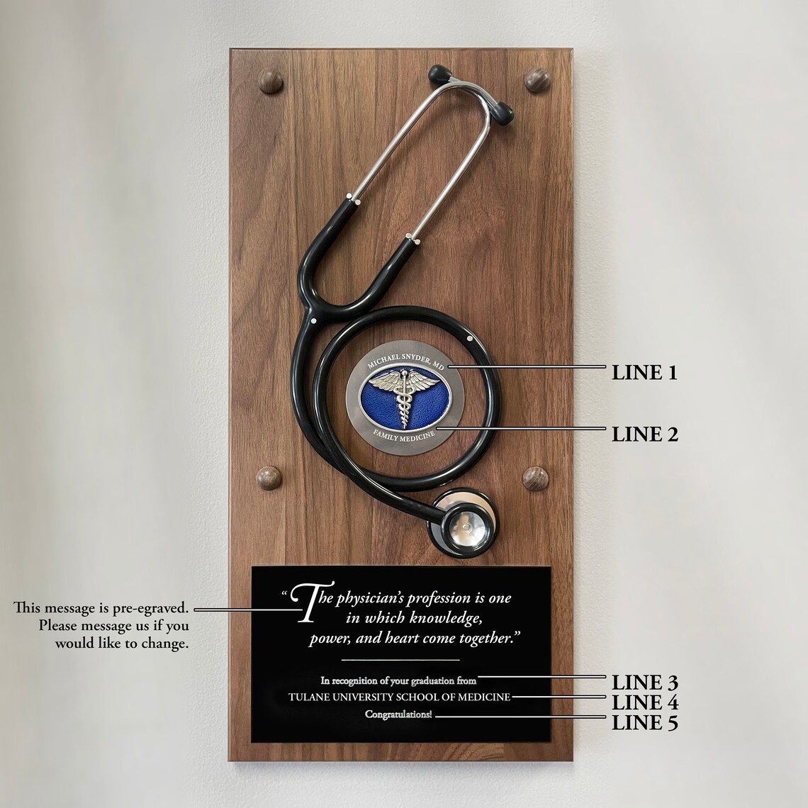 Personalized Physician Stethoscope Solid Wood Plaque - Etsy