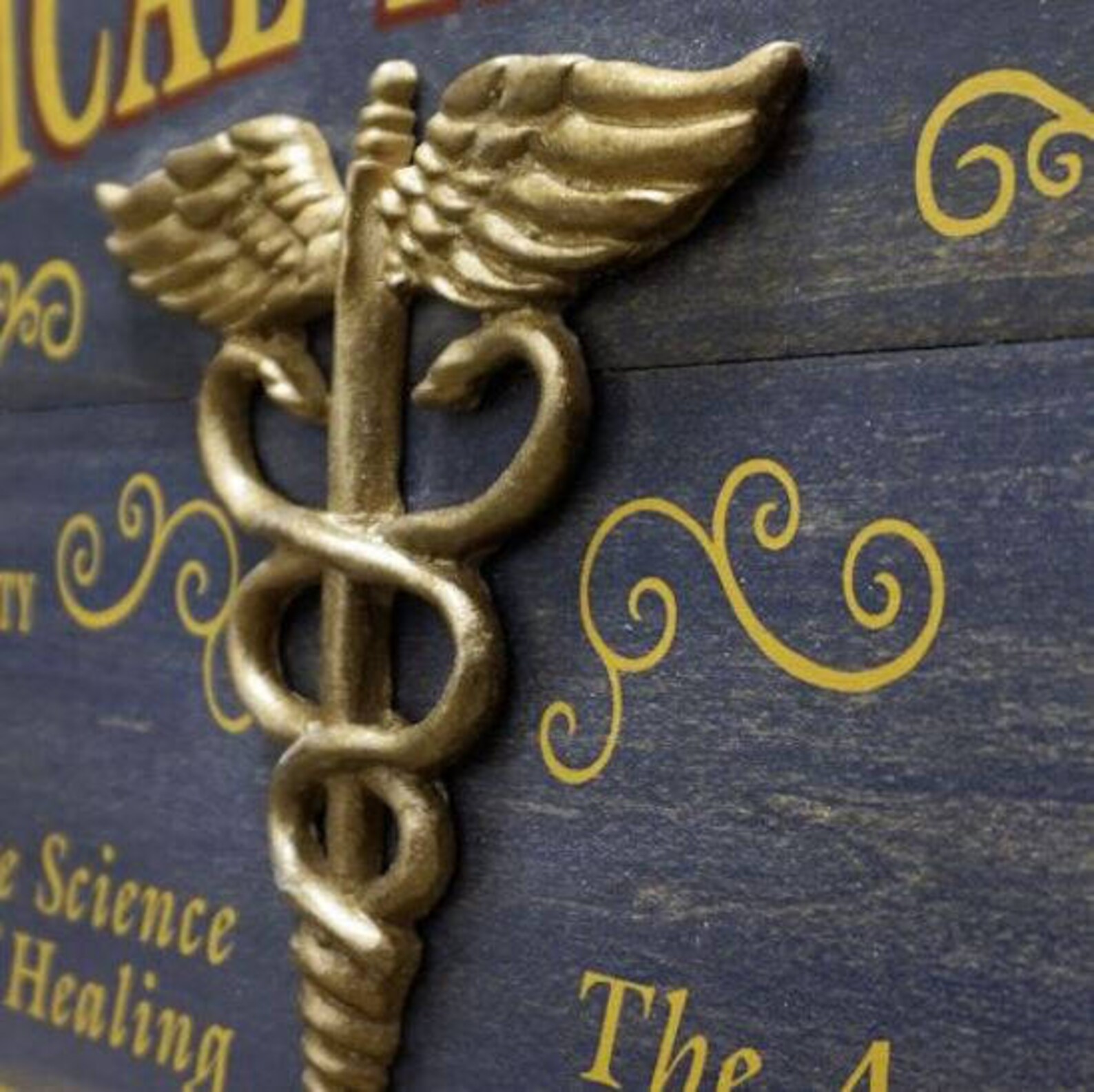 Physician Assistant Wood Sign With Optional Personalization - Etsy