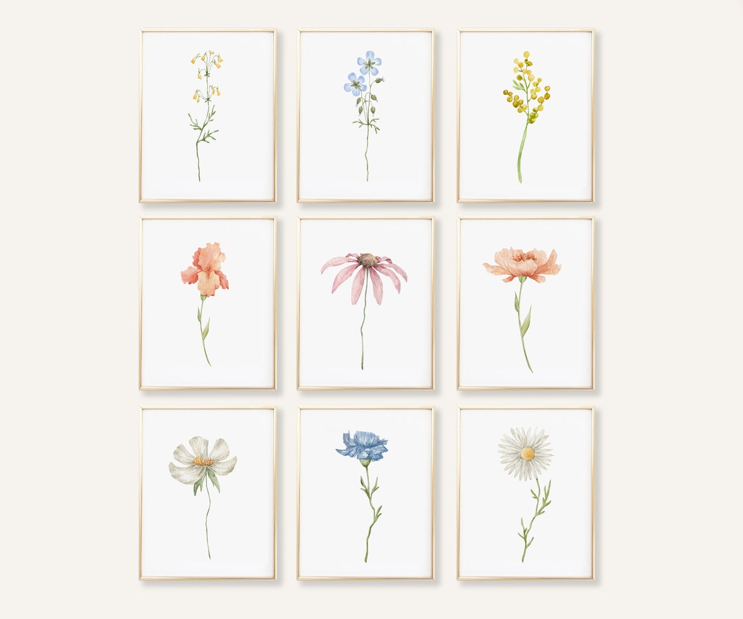 Wildflower Watercolor Prints Set of 9, Watercolor Wildflower Wall Art ...