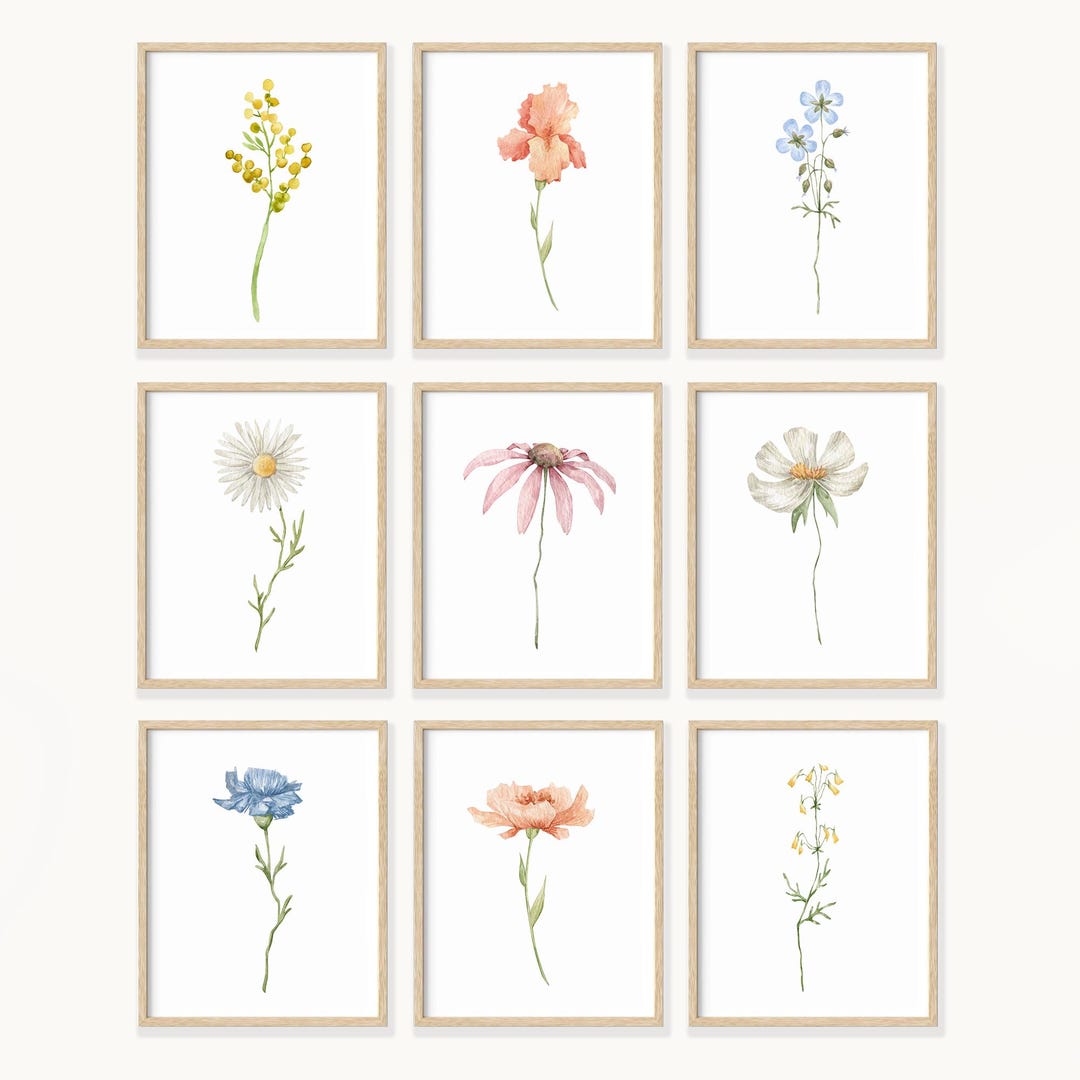 Wildflower Watercolor Prints Set of 9, Watercolor Wildflower Garden ...