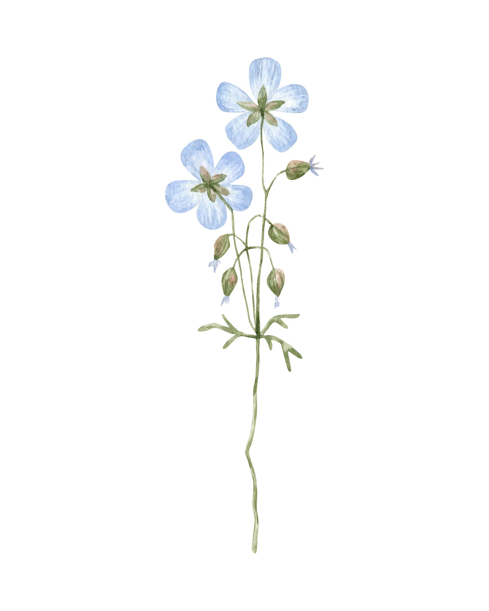 Wildflower Watercolor Prints Set of 9, Watercolor Wildflower Garden ...