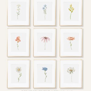 Wildflower Watercolor Prints Set of 9, Watercolor Wildflower Wall Art ...