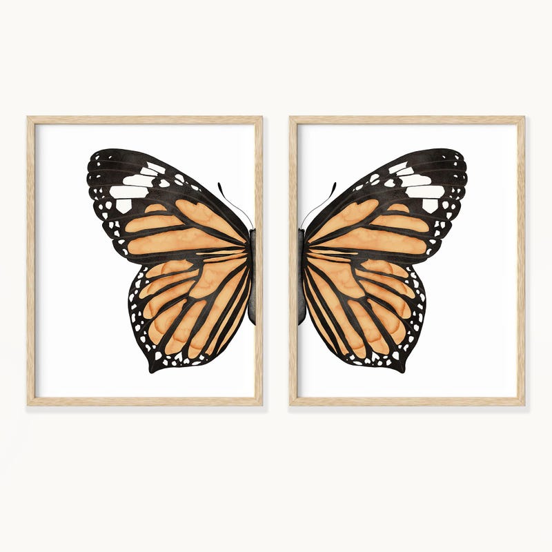 Split Butterfly Art - Etsy