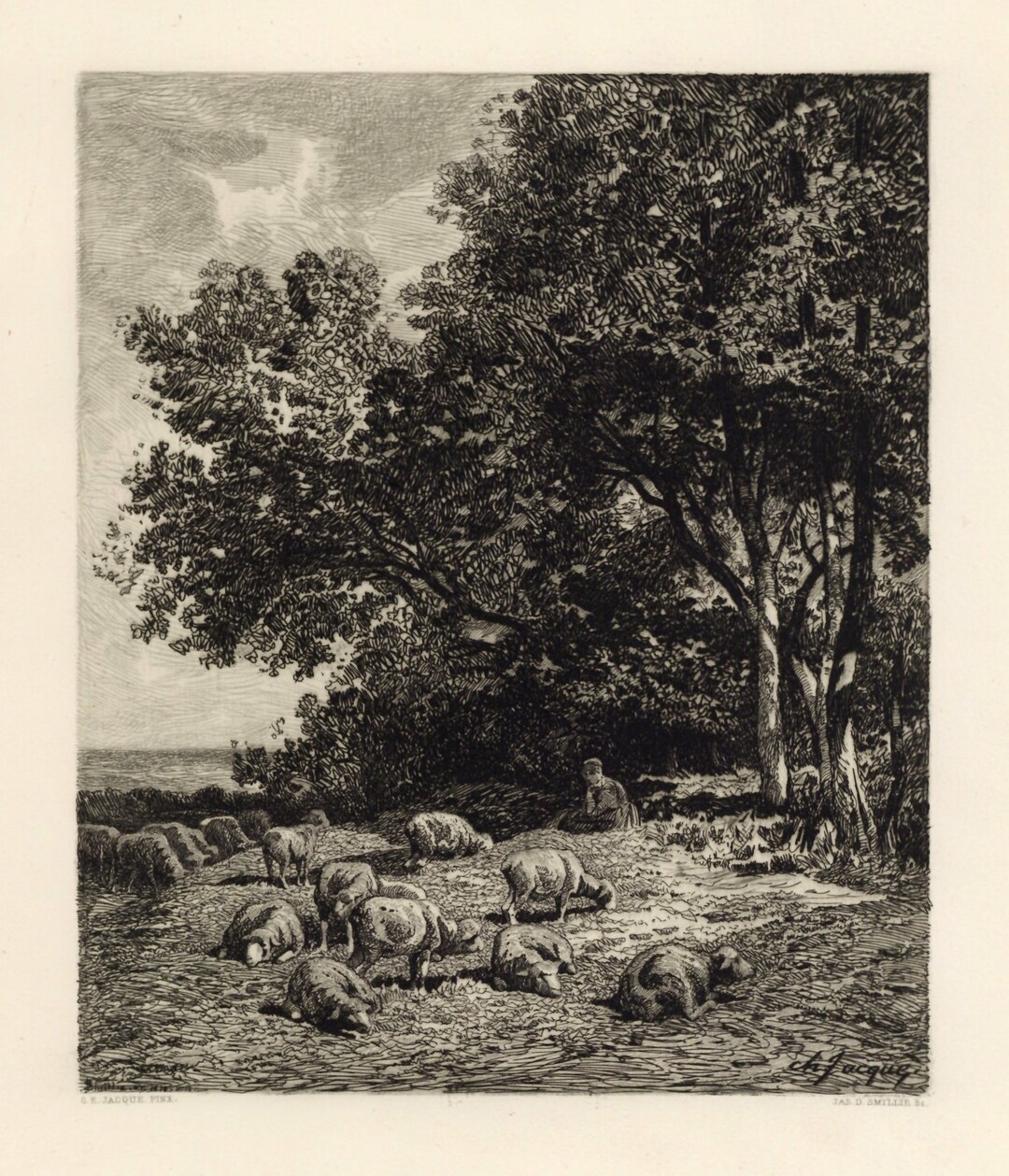 Charles Emile Jacque | James Smillie Etching "landscape With Sheep" - Etsy