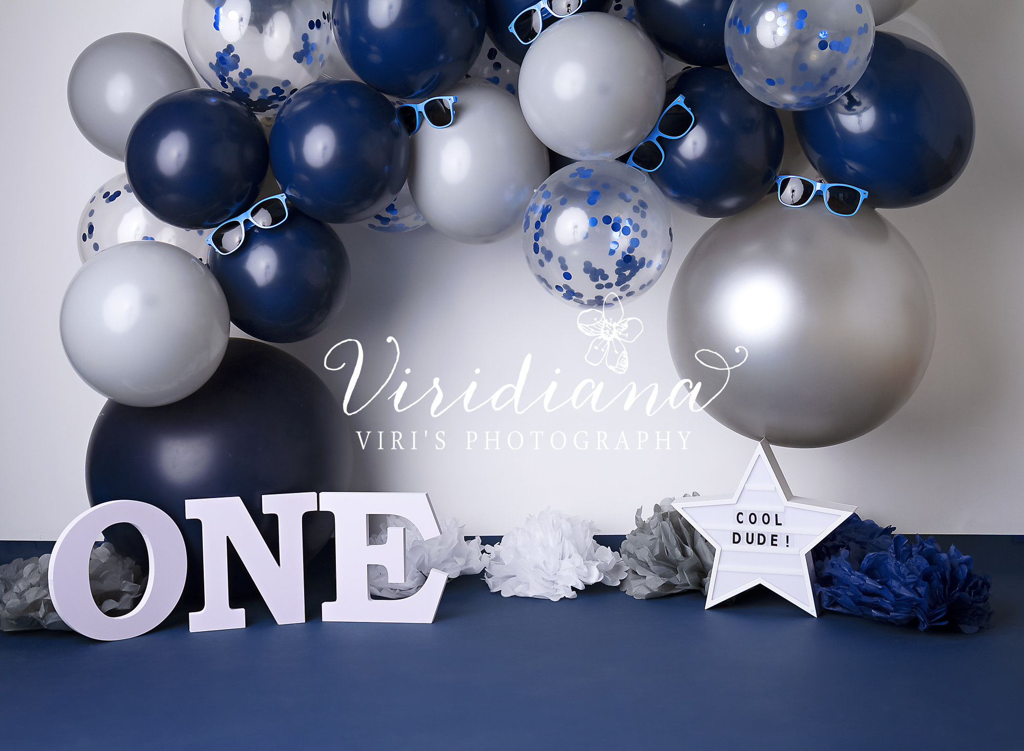 Photography Digital Backdrop, One Year Digital Backdrop for Boy, Cake ...