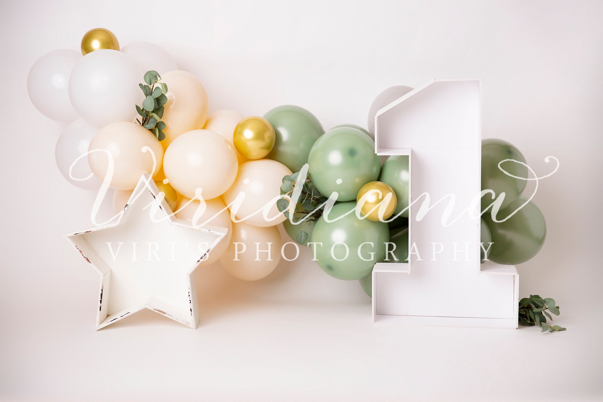 White Neutral, Digital Backdrop, One Year Digital Backdrop for Boy ...