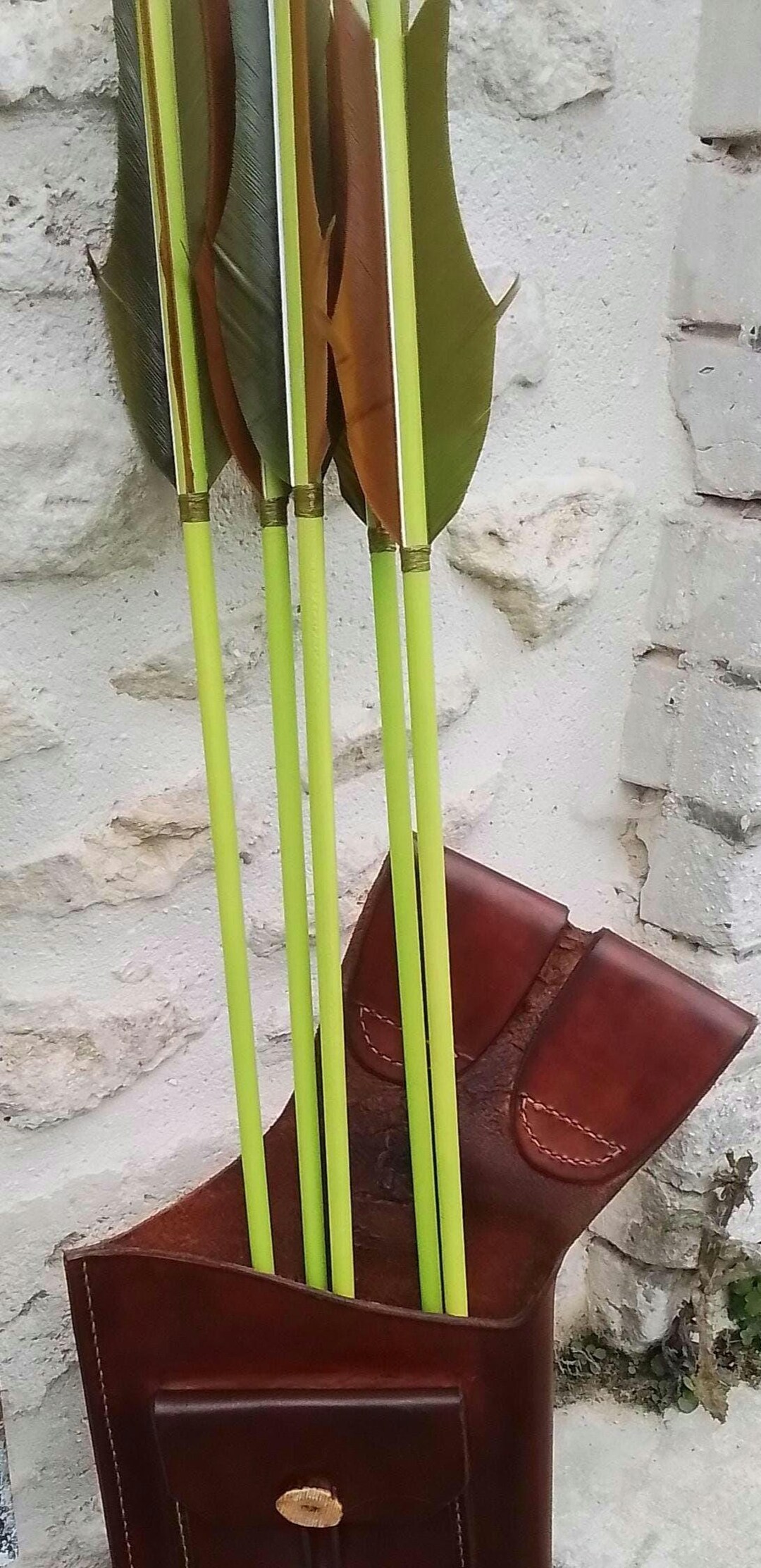 6 Legolas 5/16 Arrows, 35-40 Lbs, With Plastic Nock, Tinted Shaft ...