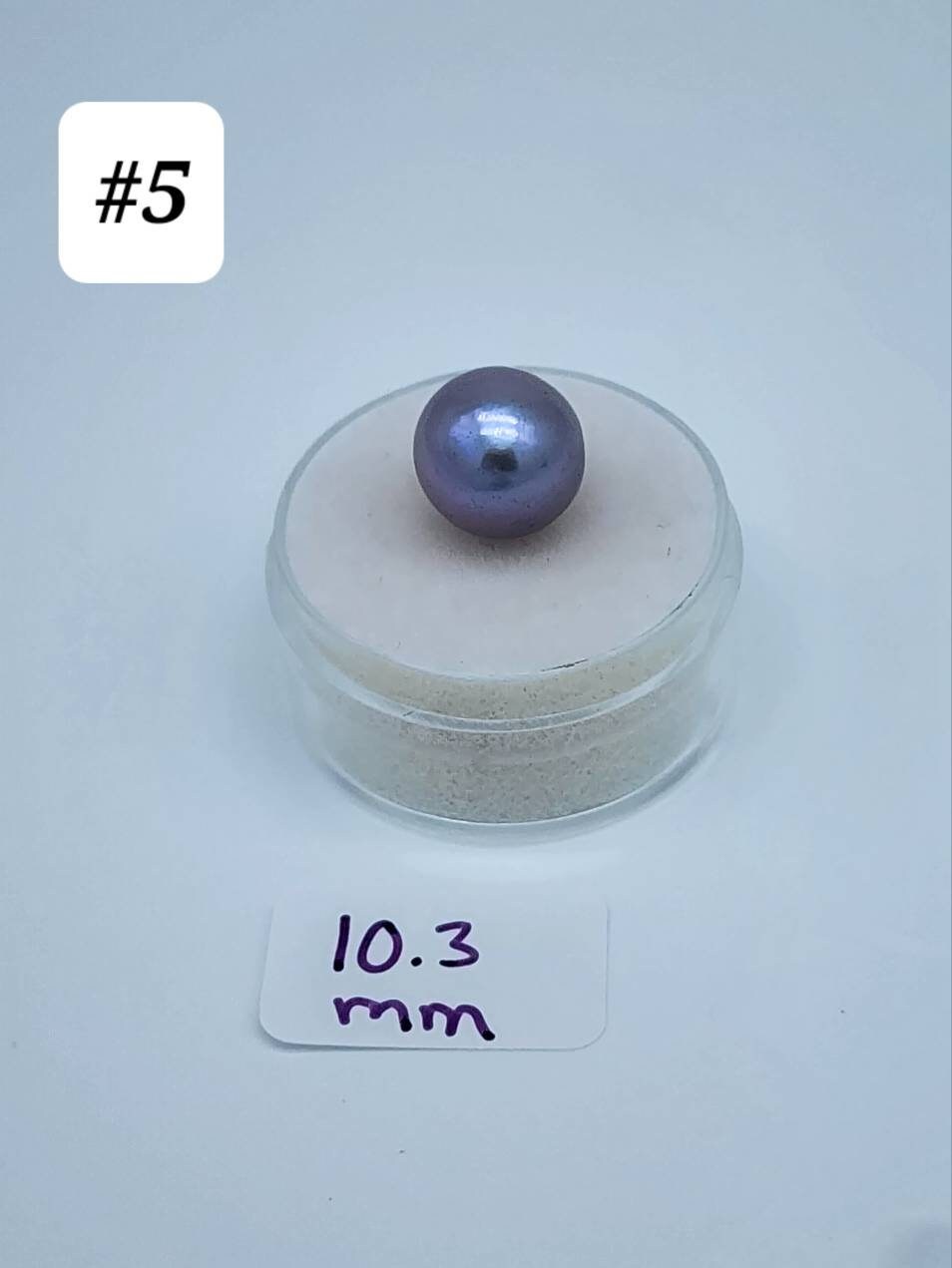 Large Round Edison Pearls Loose for Edison Pearl Cages and Jewelry ...
