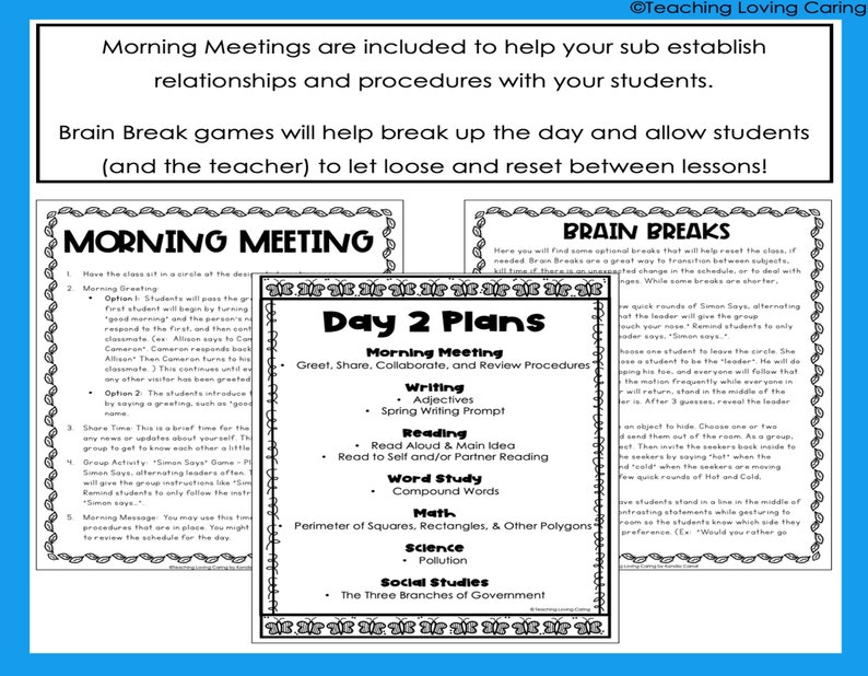 Third Grade Emergency Sub Plans - Spring - Etsy