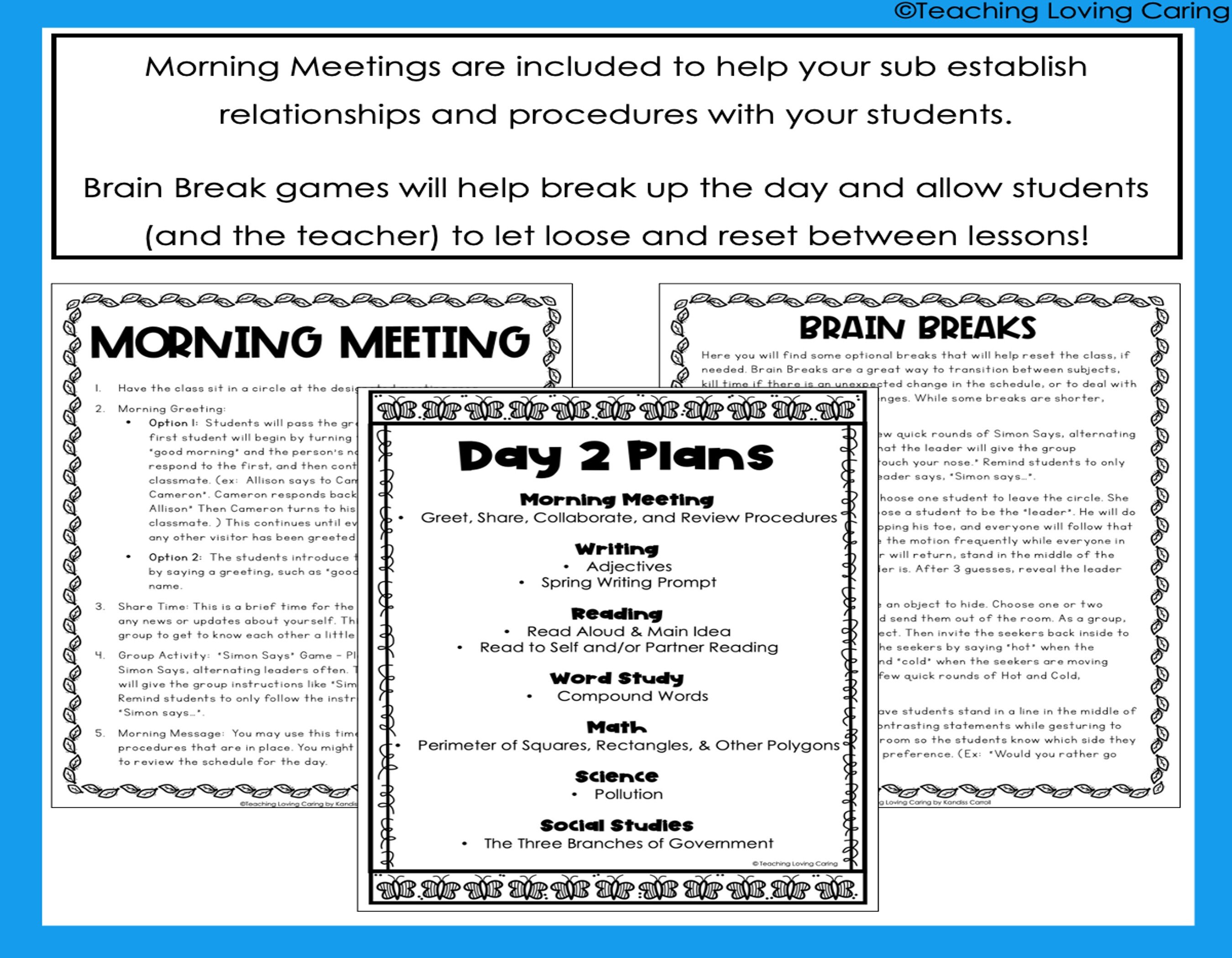 Third Grade Emergency Sub Plans - Spring - Etsy