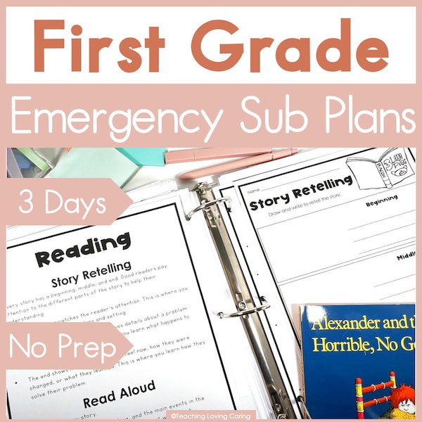 Sub Plan Prep - Etsy