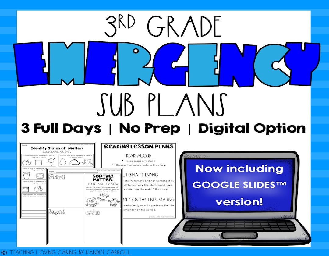 Third Grade Sub Plans - Etsy