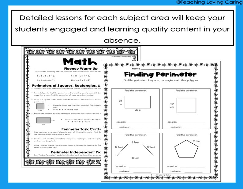 Third Grade Emergency Sub Plans - Spring - Etsy