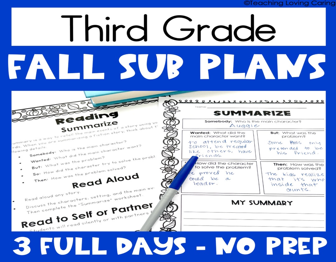 Third Grade Emergency Sub Plans - Etsy