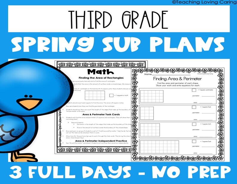 Third Grade Emergency Sub Plans - Spring - Etsy