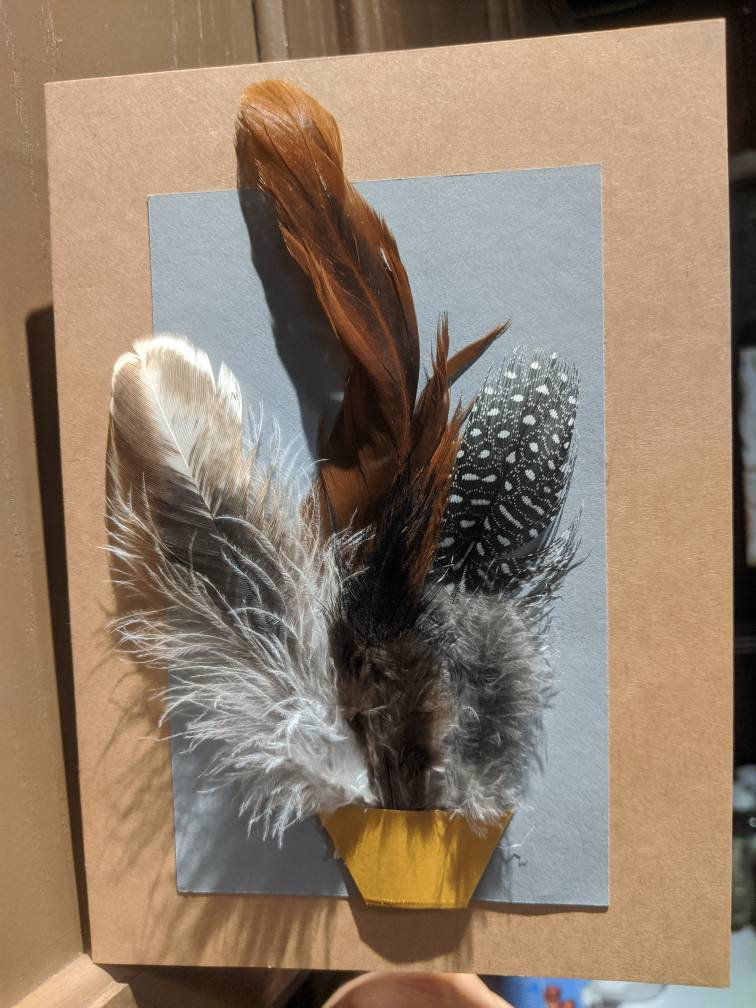 Assorted Feather Cards made with real feathers | Etsy