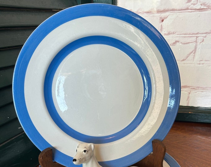 Vintage, 2 BLUE and WHITE, CORNISH Kitchen Ware, Dinner Plates, T G ...