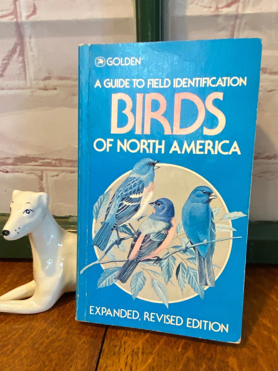 1983, A Guide to Field Idnetification, BIRDS of NORTH AMERICA, Soft ...