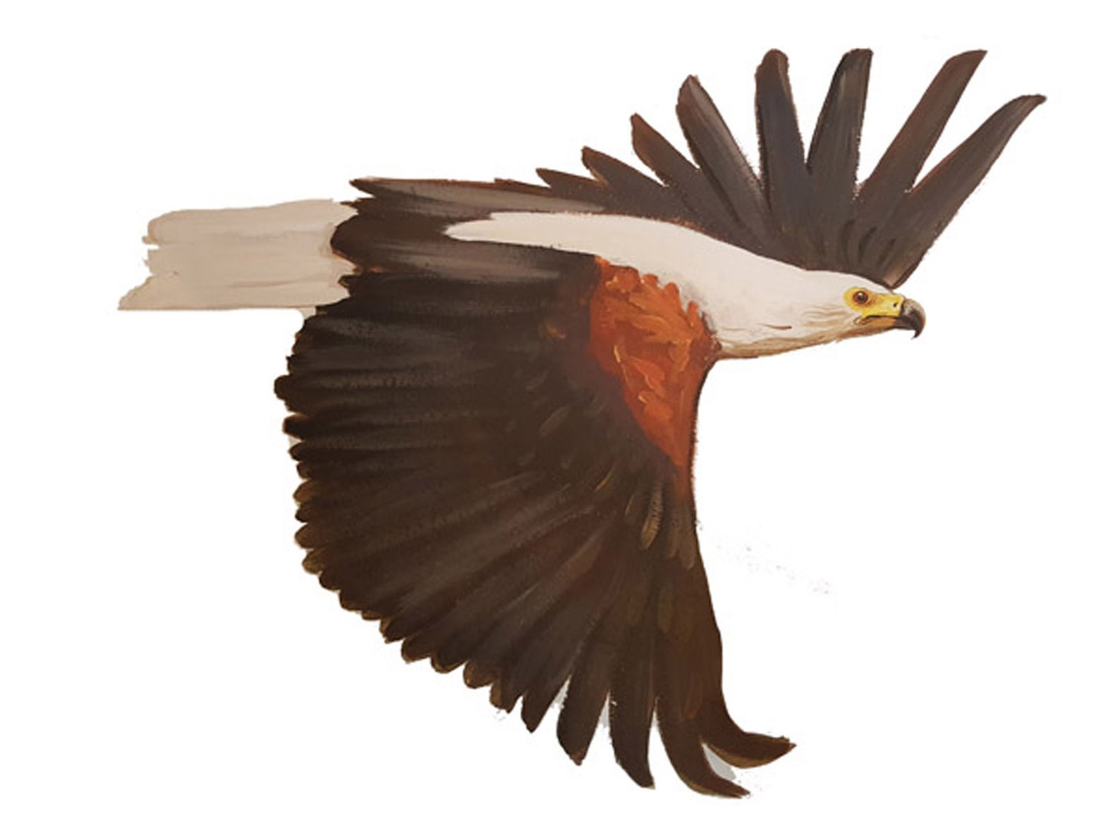 Eagle Wall Decals Eagle Wall Stickers Eagle Decals Flying | Etsy UK