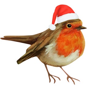 Robin wall sticker robin wall decal robin decal robin | Etsy