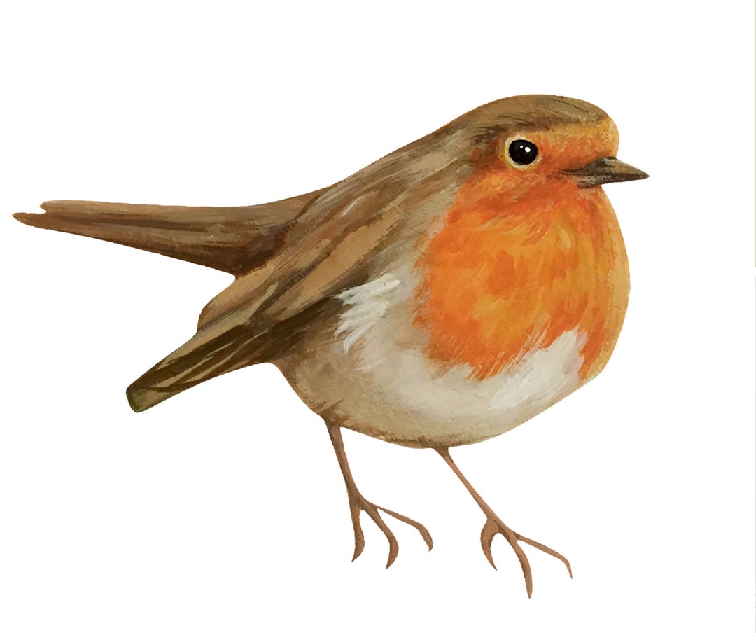 Robin Wall Sticker, Robin Wall Decal, Robin Decal, Robin Decals, Robin ...