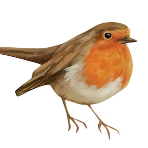 Robin Wall Sticker, Robin Wall Decal, Robin Decal, Robin Decals, Robin ...