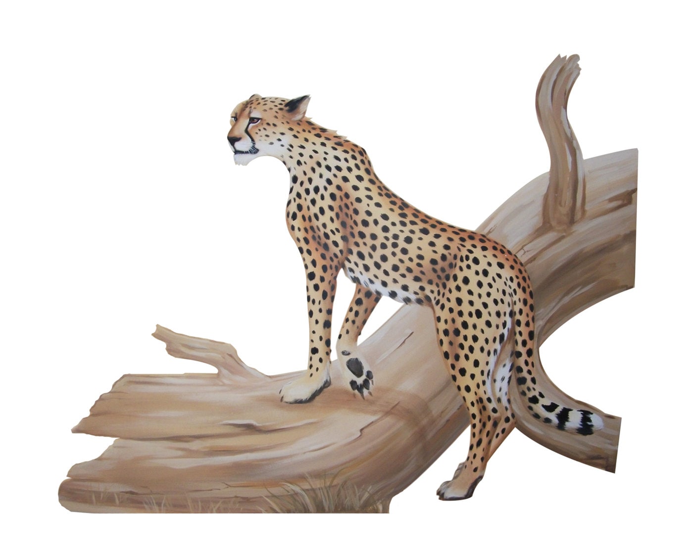 Cheetah Decal, Cheetah Wall Decal, Cheetah Was Sticker, Cheetah Wall ...