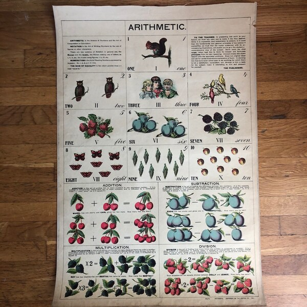 Vintage School Chart - Etsy