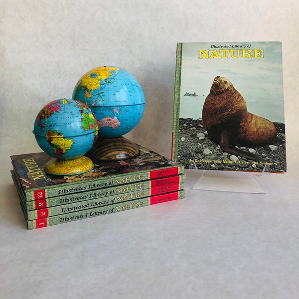 Illustrated Library - Etsy