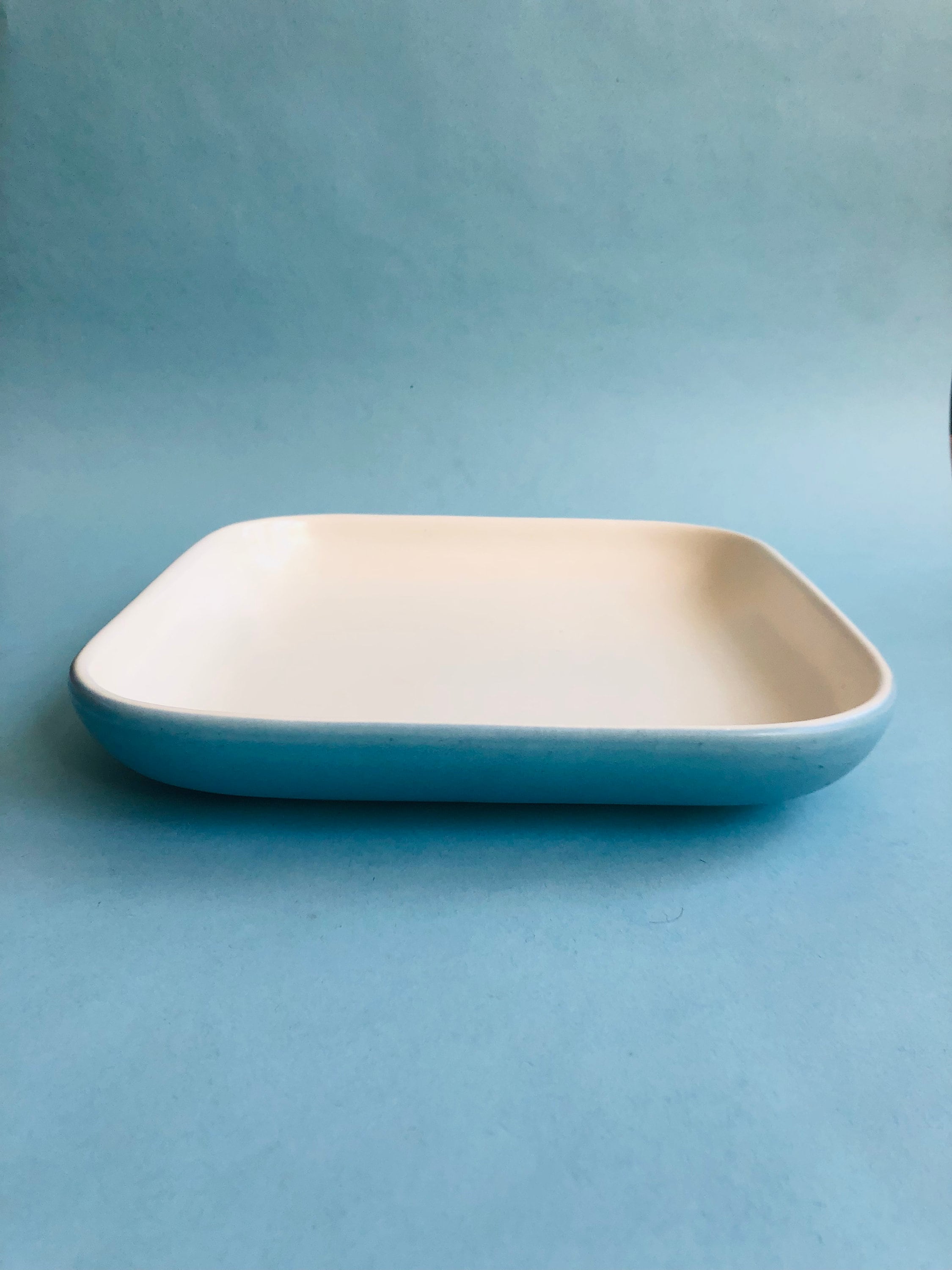 Vintage Red Wing Pottery Platter Blue Red Wing Tray Vintage | Etsy