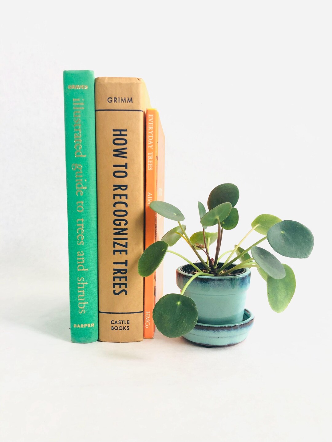 Midcentury Lot of Tree Identification Books, Vintage Tree Books ...