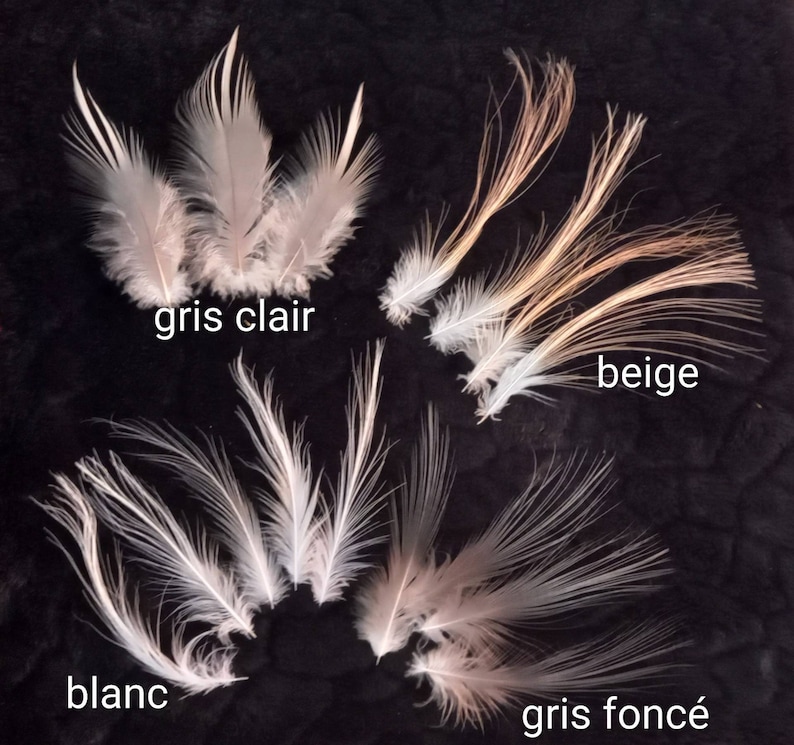 Beautiful Heron Feathers (n1-4) - Natural Colors: White, Beige, Light ...