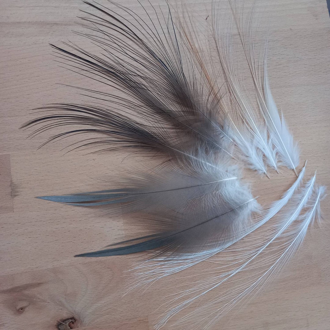 Beautiful Heron Feathers (n1-4) - Natural Colors: White, Beige, Light ...