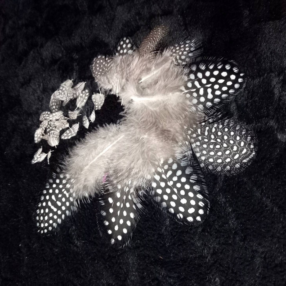 Guinea Fowl Feathers extra Quality Guinea Fowl Feather, Fly Tying ...
