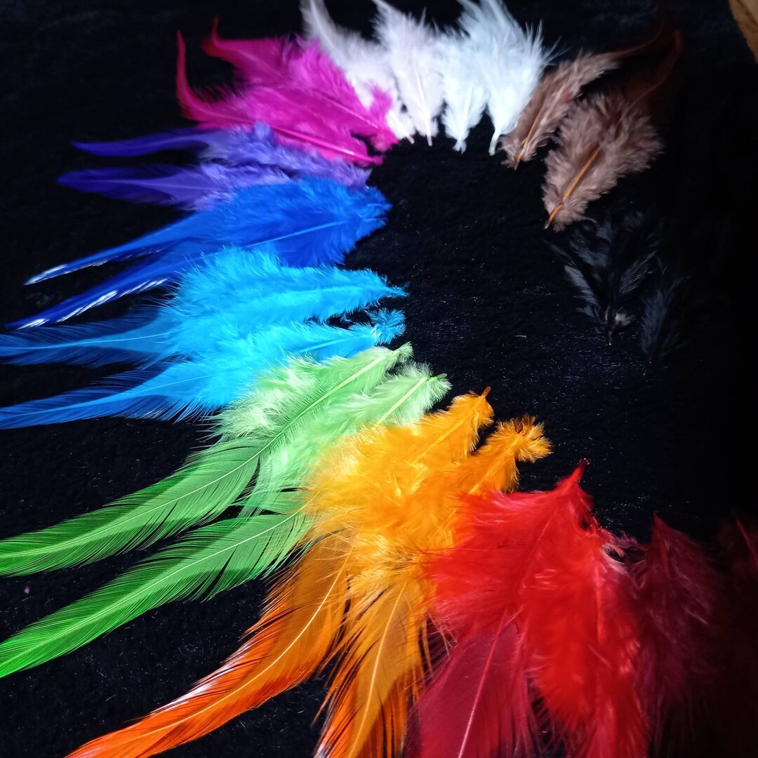 Rooster Lancets - **30 Colors**: Green, White, Purple, Black, Turquoise ...