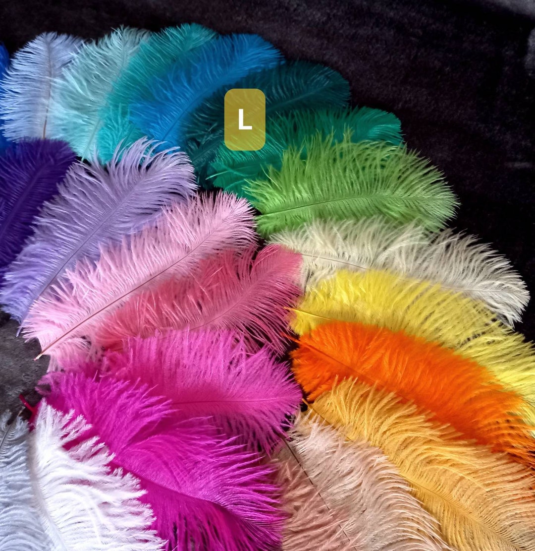 T.l (13-15 Cm): Ostrich Feathers **25 Colors** = Blue, Red, Orange ...