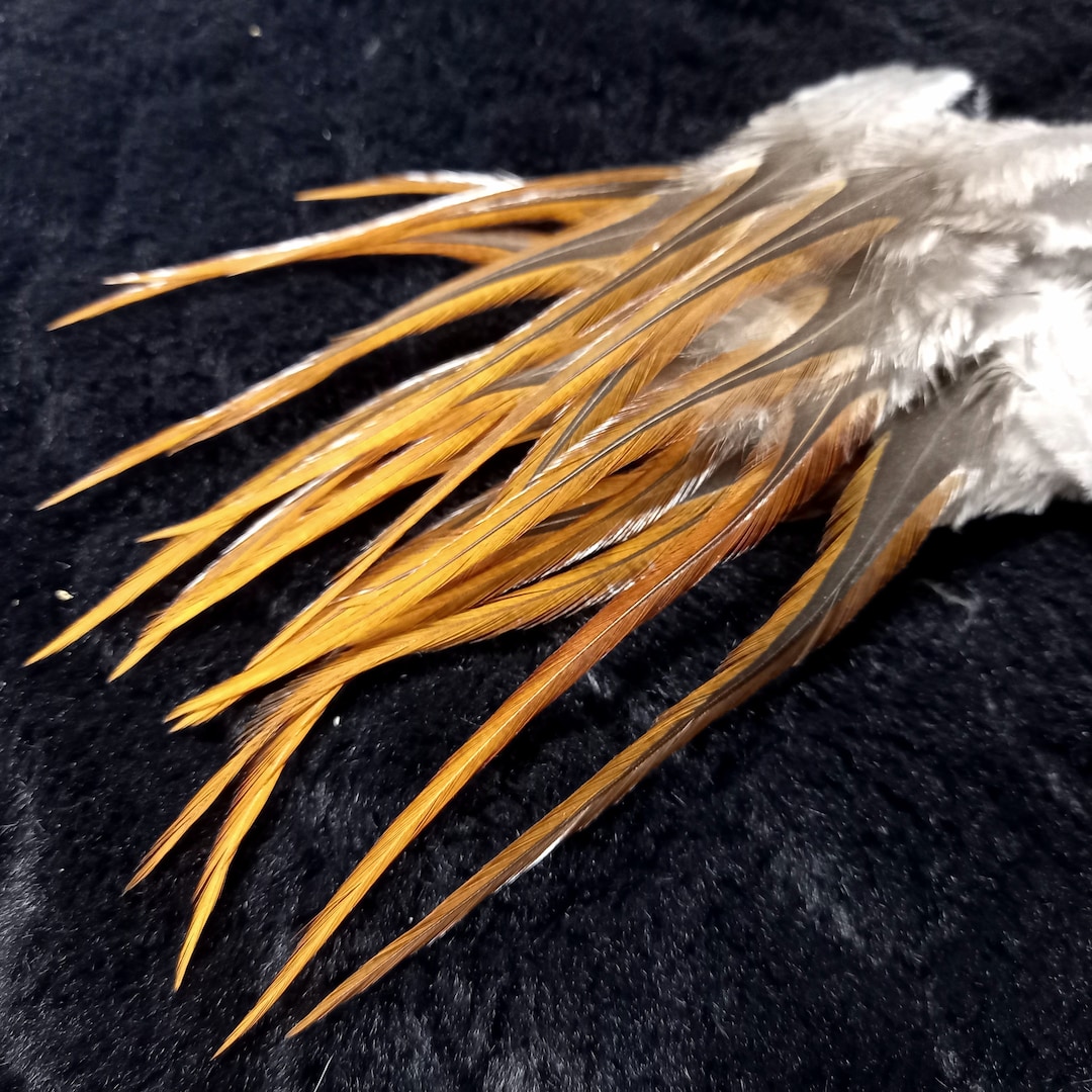 X10 Lancet Rooster Feathers - Color: Red Badger - Cock Saddle - Etsy
