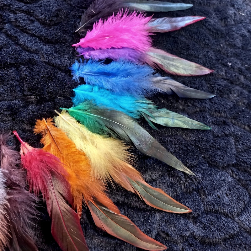 Large Feathers - Etsy