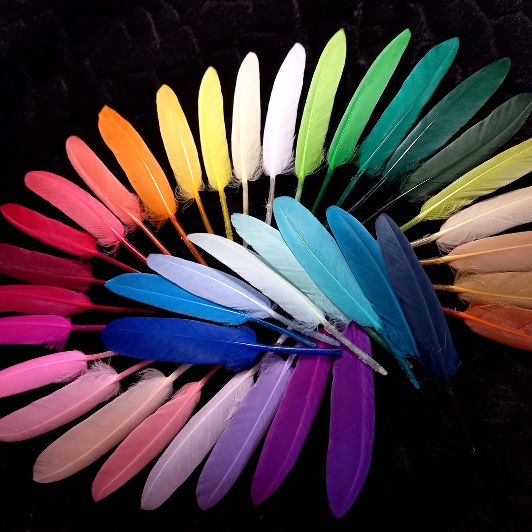 Rounded Goose Feathers *50 Colors* = Green, White, Purple, Black ...