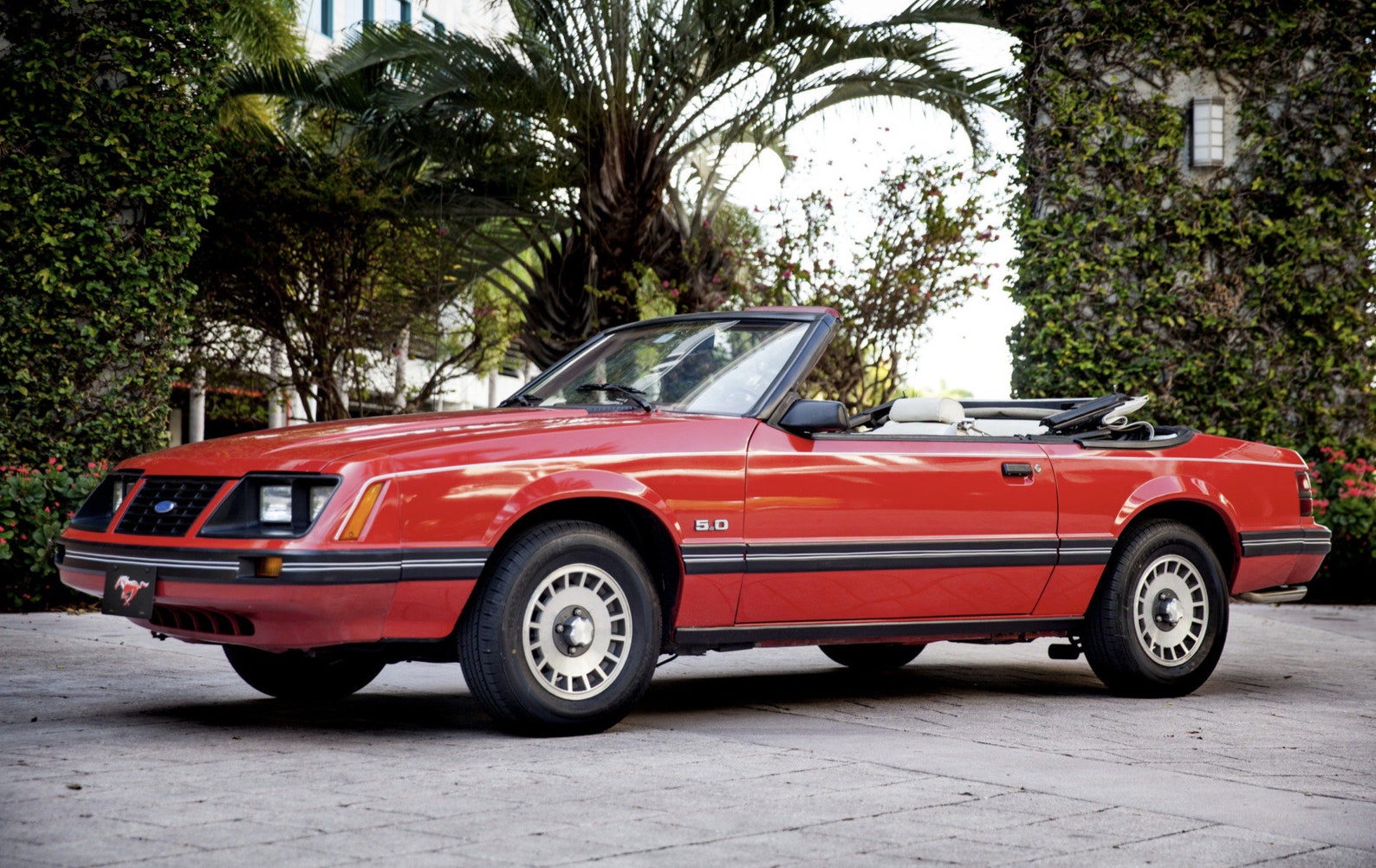 1983 Mustang 5.0 Convertible | Poster | 24x36 Inches - Etsy