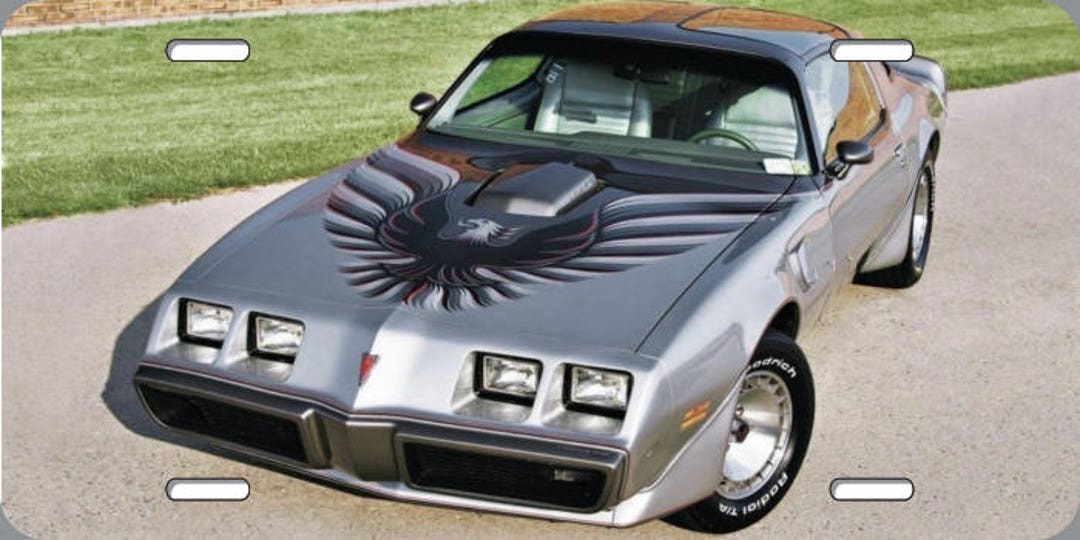 1980 Pontiac Trans Am License Plate 6x12 - Etsy