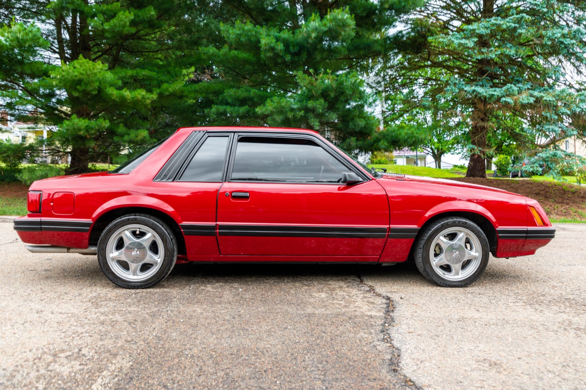 1981 Mustang | Poster | 24x36 Inches - Etsy