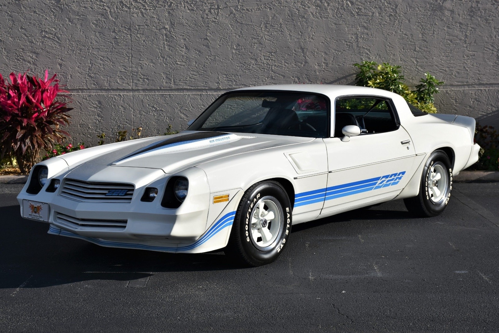 1981 Chevrolet Camaro-z-28 (white Blue Stripes) | Poster | 24x36 Inches ...